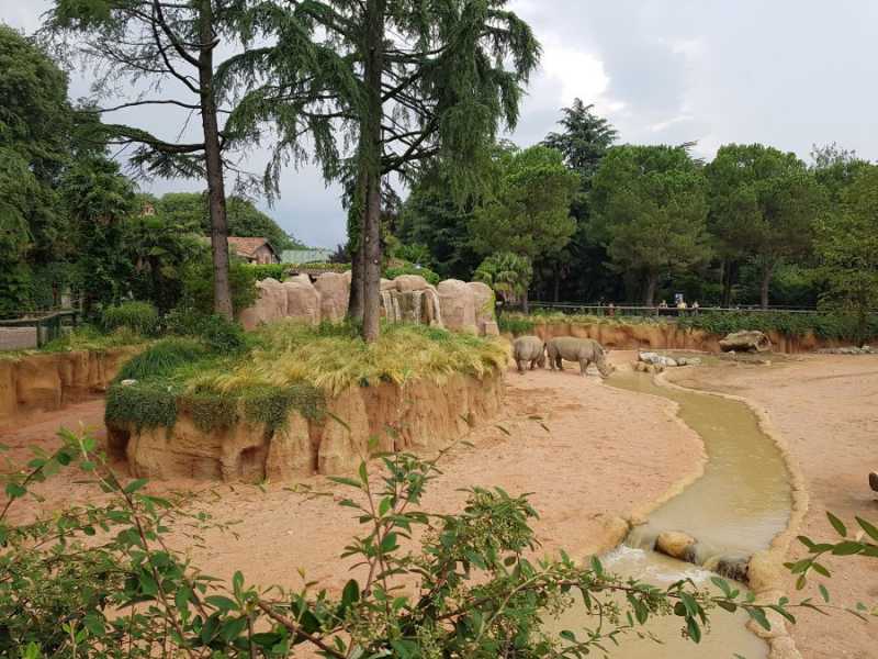 Parco Zoo