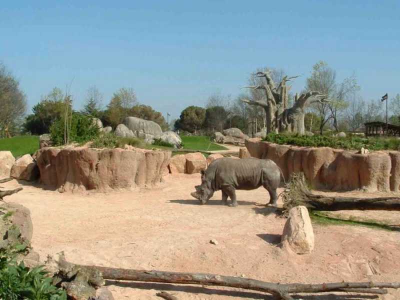 Parco Zoo